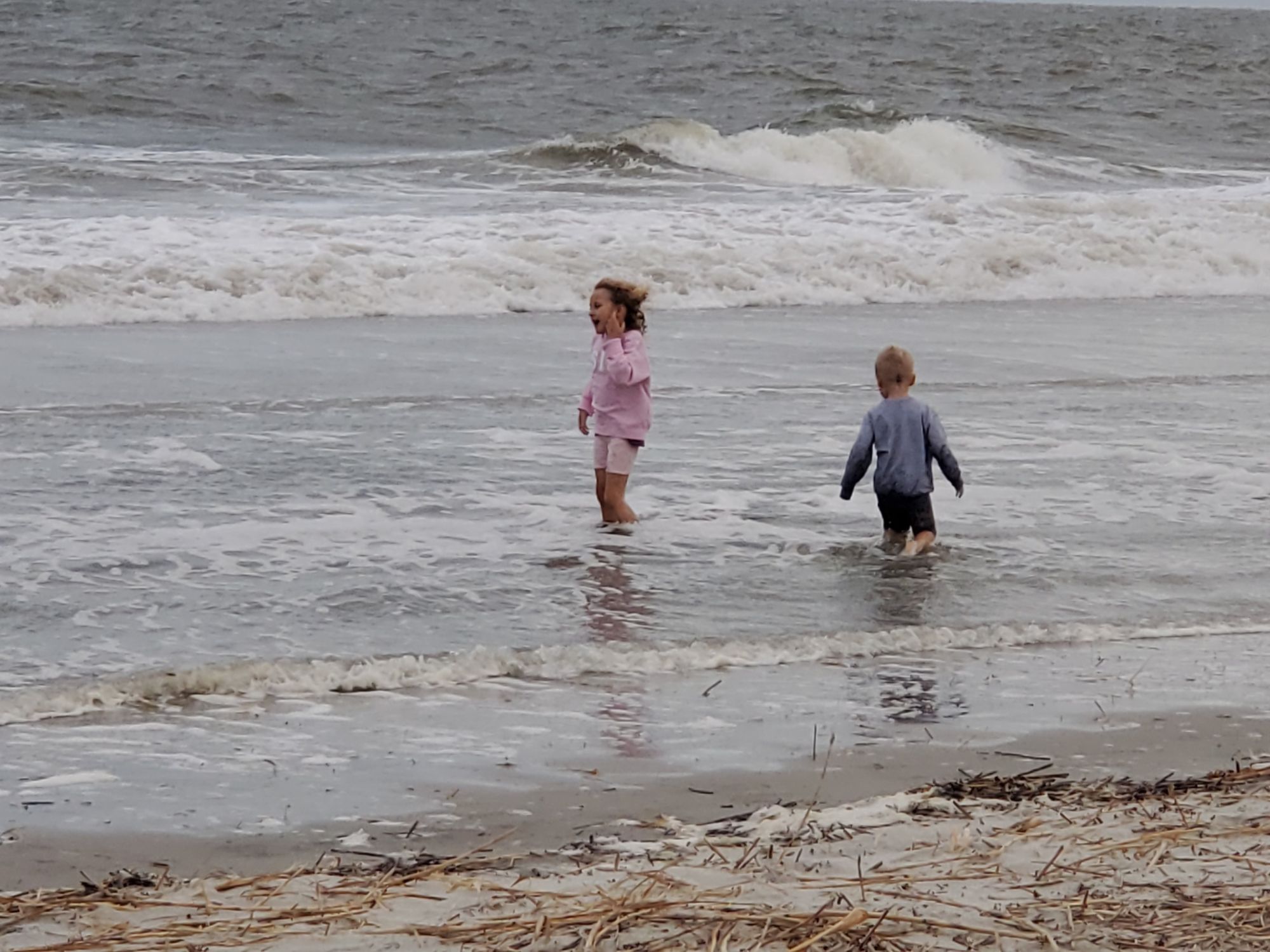 The No-Aggression Challenge: Mindfully Celebrating Week Fifteen of the ...
